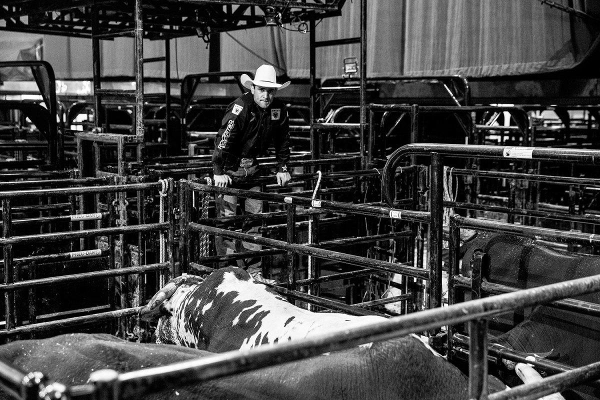 Professional Bull Riding: Behind the scenes at MSG - Sports Illustrated