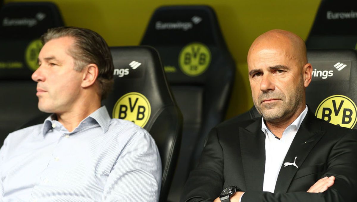 BVB Manager Peter Bosz Demands Improvement Despite Solid Start to the ...
