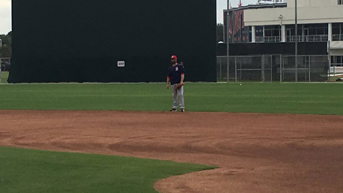 Bad baseball spring training photos came early this year - Sports ...