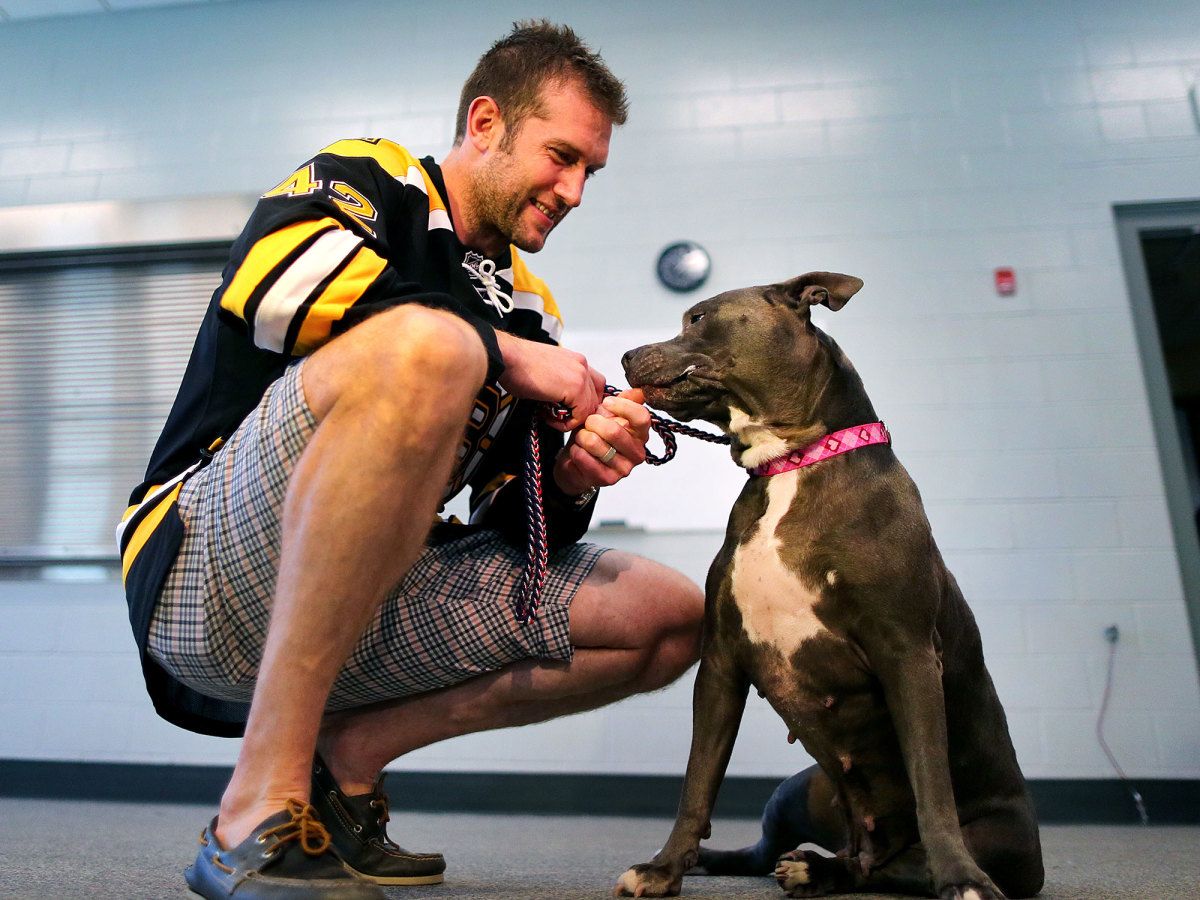 David Backes Pet