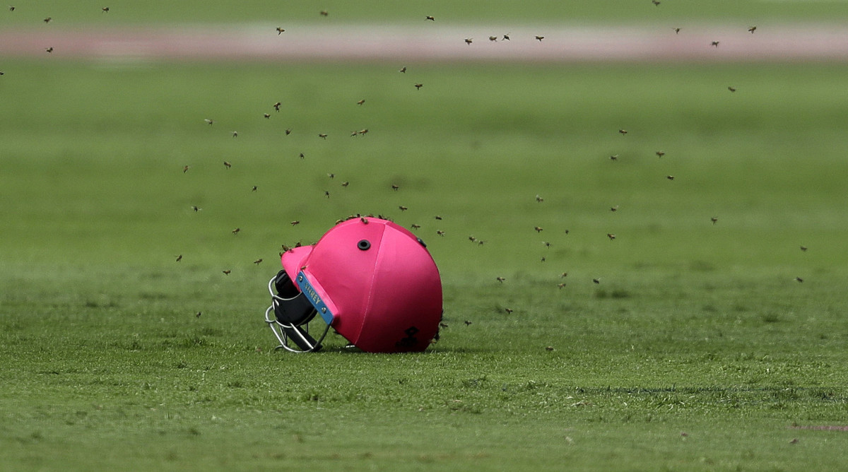 Watch: Bees swarm cricket match and it's a nightmare - Sports Illustrated