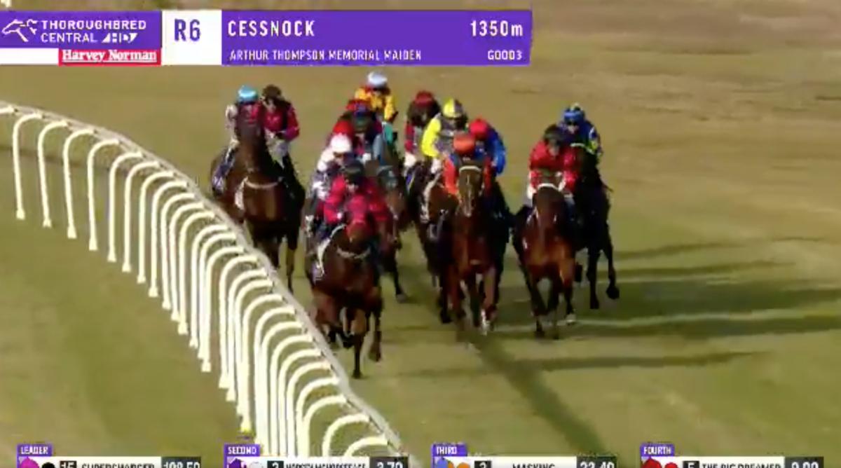 Horsey McHorseface wins horse race - Sports Illustrated