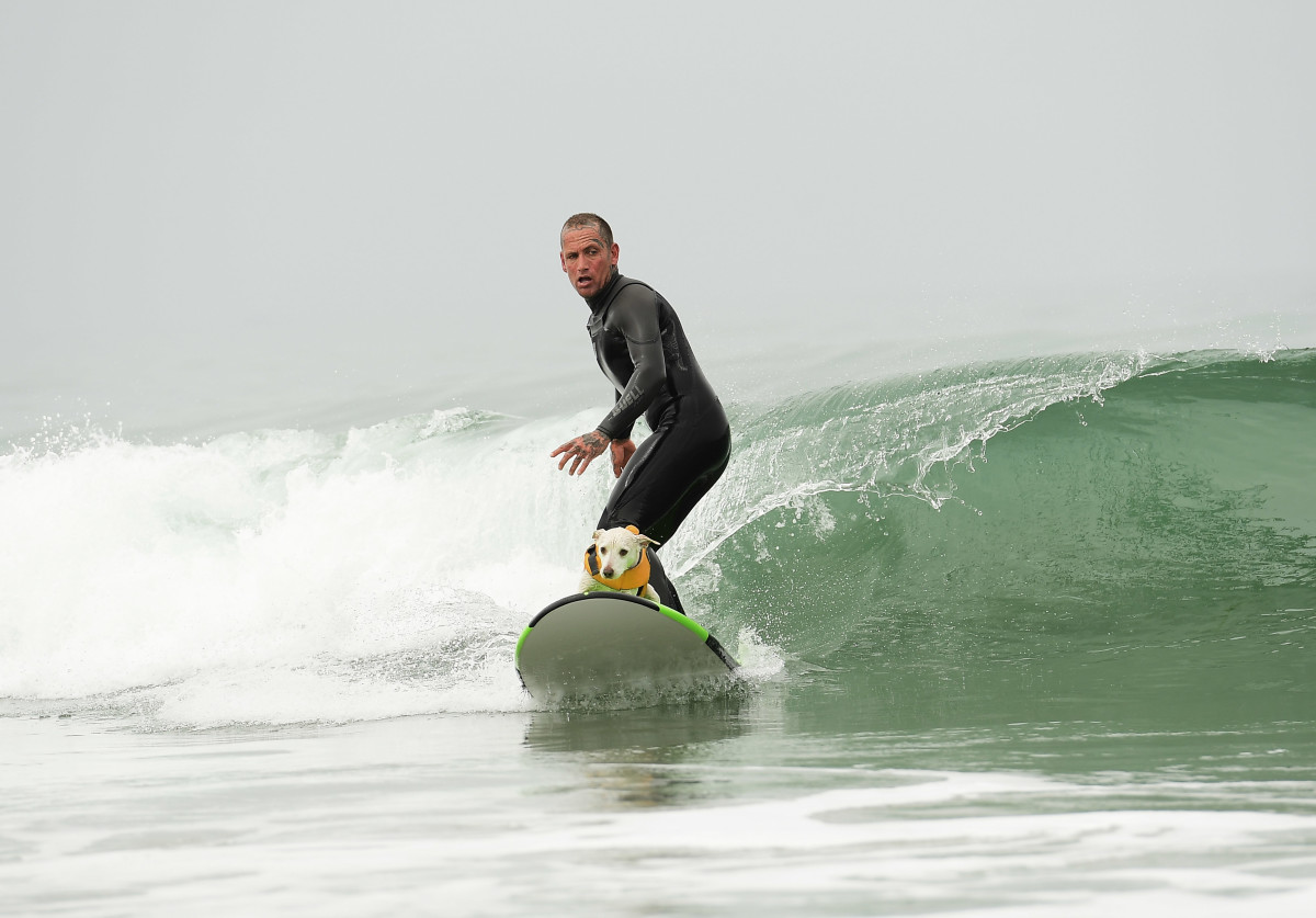 Surfing Dog competition Imperial Beach california - Sports Illustrated