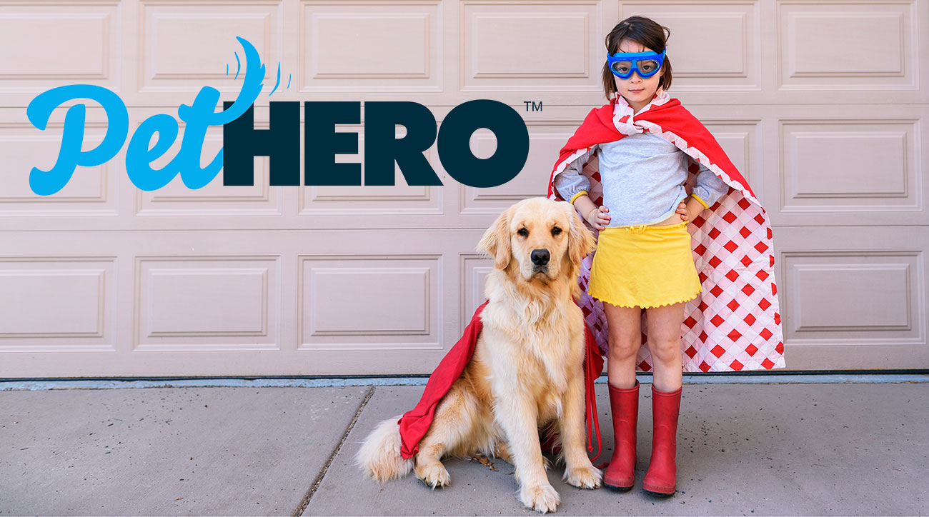 PetHero is Time Inc's new membership club to save on vet bills - Sports ...