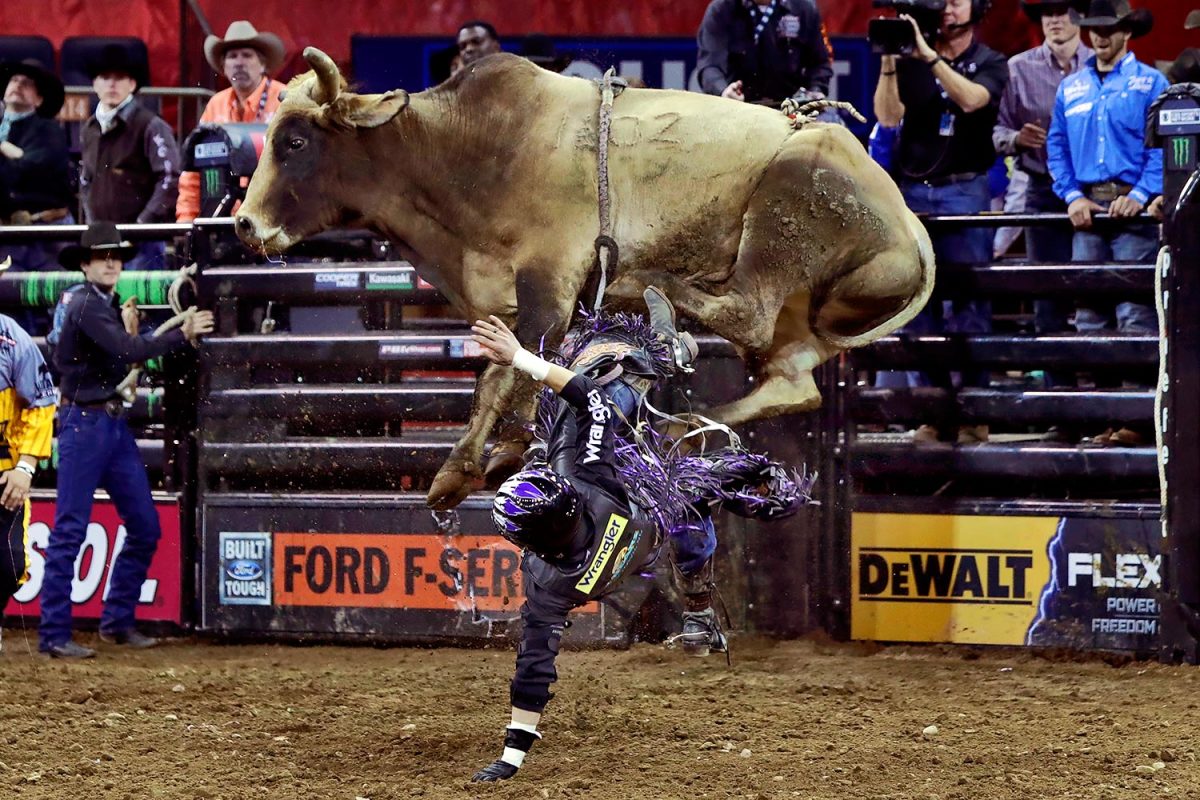 Wacky Sports Photos of the Week (Jan. 4-10) - Sports Illustrated