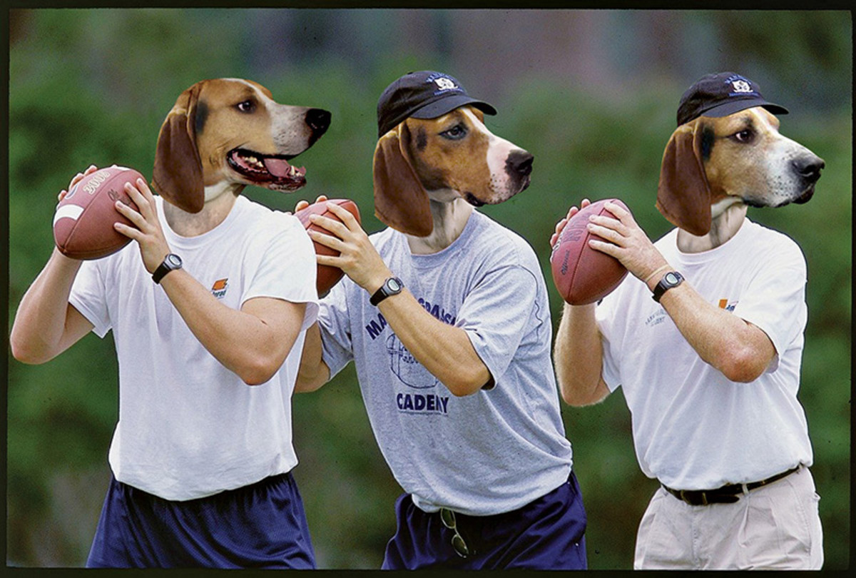 Photoshopped Dogs