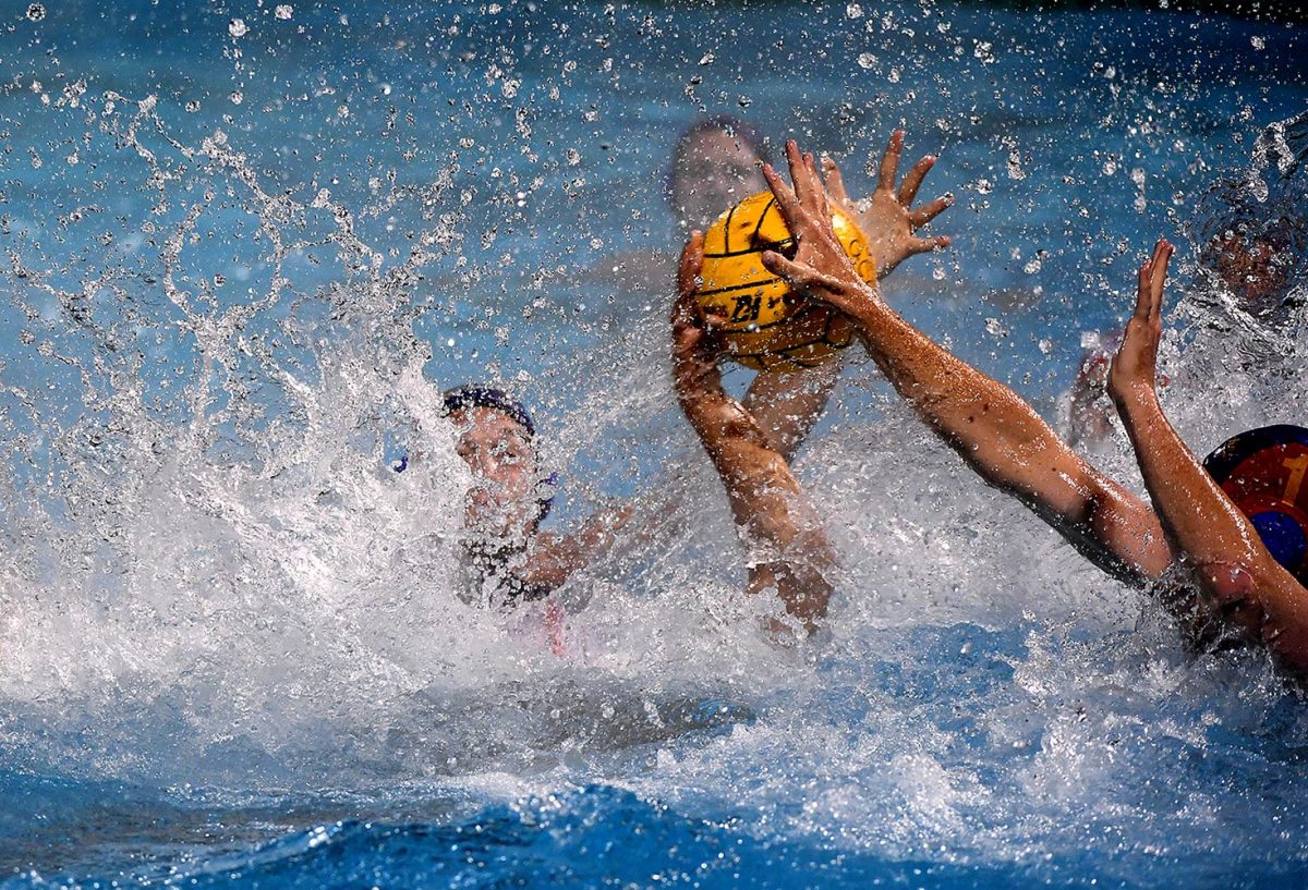 Photos from the 2016 GCC Water Polo Championships - Sports Illustrated