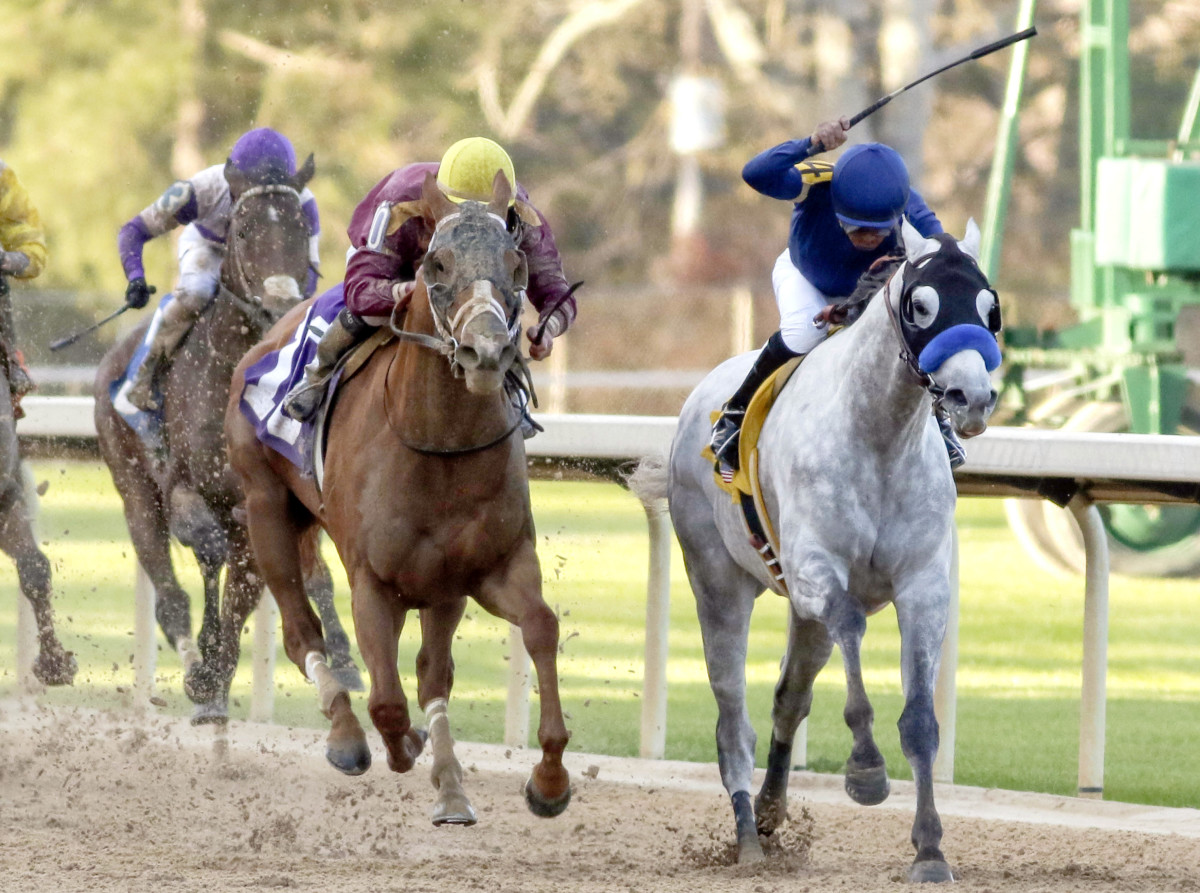 Cupid has breathing problem, won't run in Kentucky Derby - Sports ...
