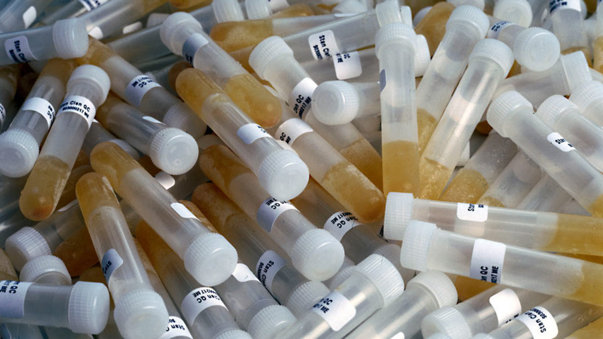 Hockey drug scandal costs Russian U-18 world championship team - Sports ...