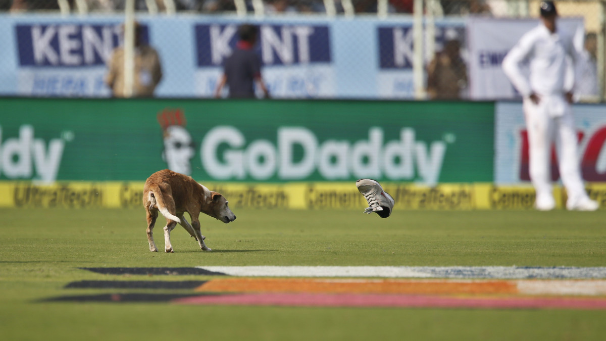 Dog stops play in cricket match between India and England - Sports ...