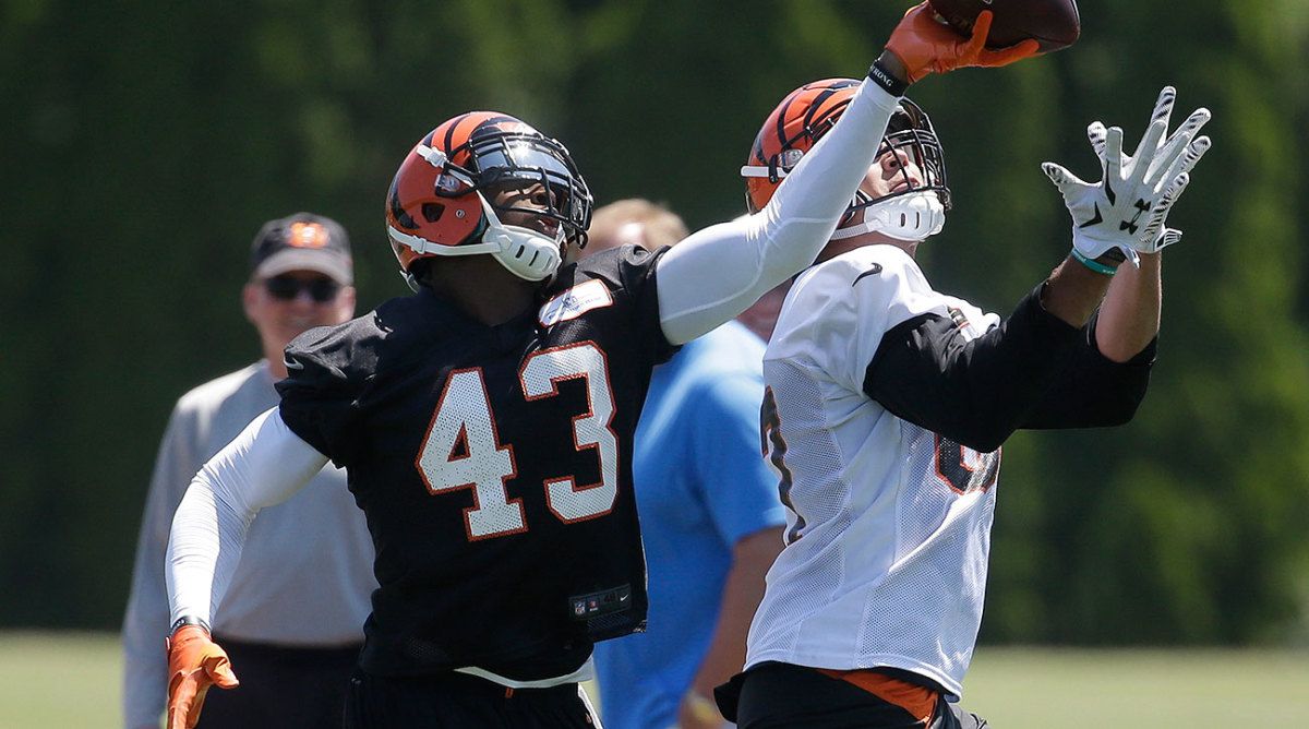 Bengals training camp: Marvin Lewis, playoff exits in spotlight ...