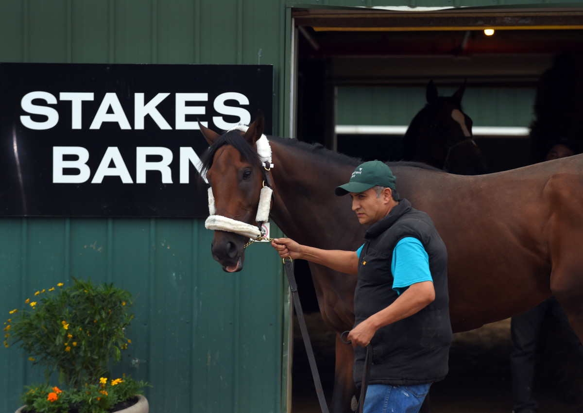 NBC's Derby TV ratings dip a year after Triple Crown - Sports Illustrated