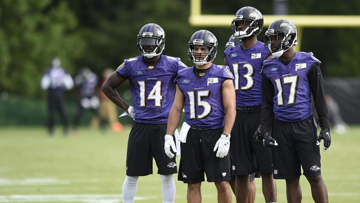 AFC North: Could Ravens challenge Steelers and Bengals for the title ...