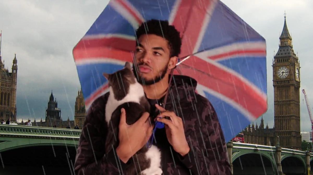 Timberwolves’ Karl Anthony Towns ‘travels the world’ with cat for NBA ...