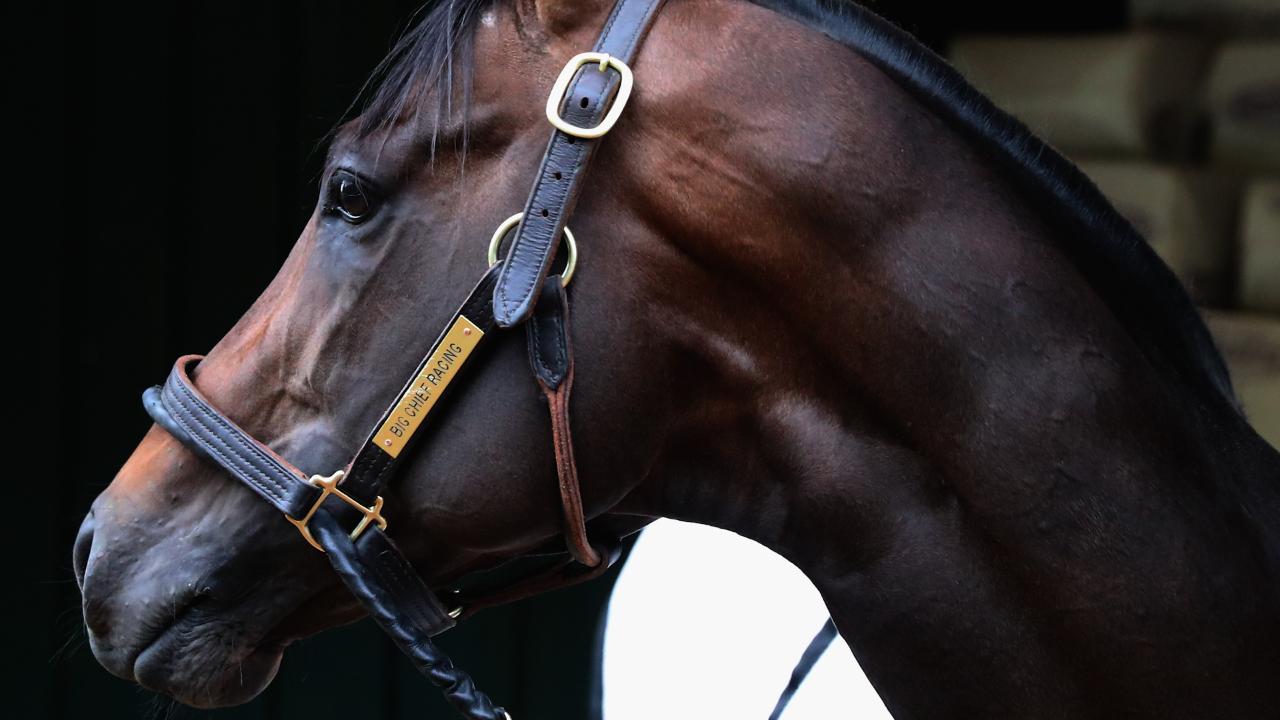 Exaggerator Wins Preakness, spoils day for Nyquist - Sports Illustrated