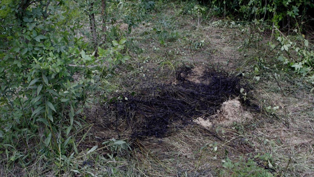 Lorenzen Wright's murder remains a mystery in Memphis - Sports Illustrated