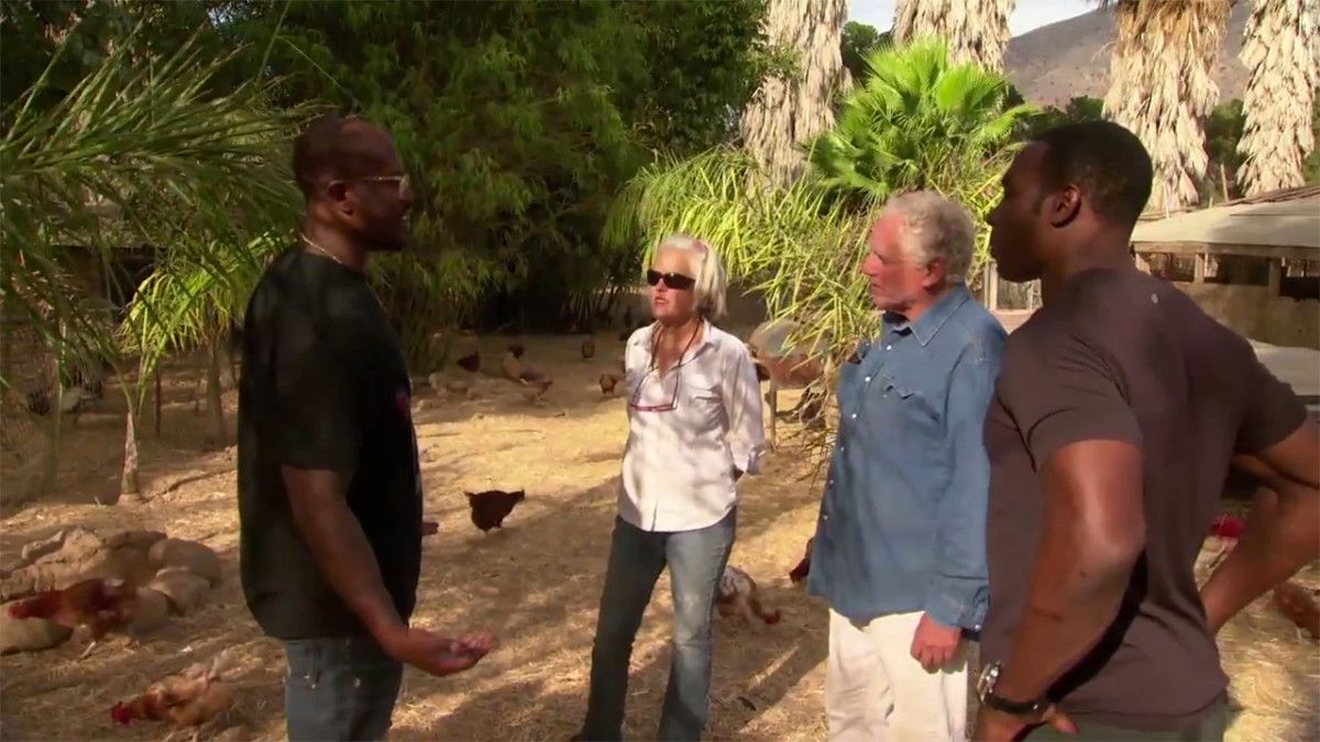 Von Miller takes Tony Richardson to a chicken farm - Sports Illustrated