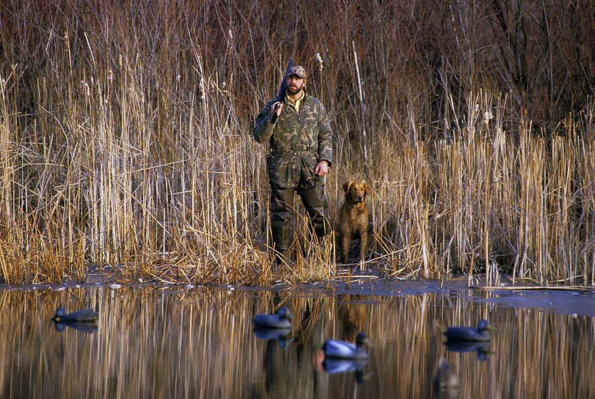 Athletes Hunting - Sports Illustrated