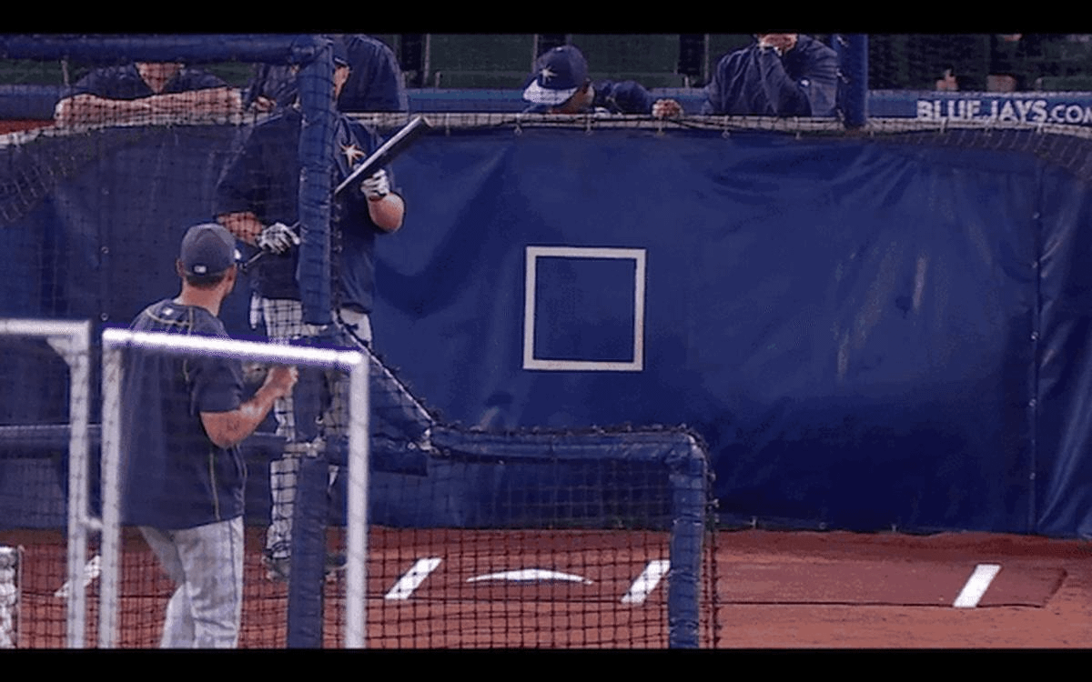 Tampa Bay Rays rookie Allan Dykstra fouled a ball off his face - Sports ...