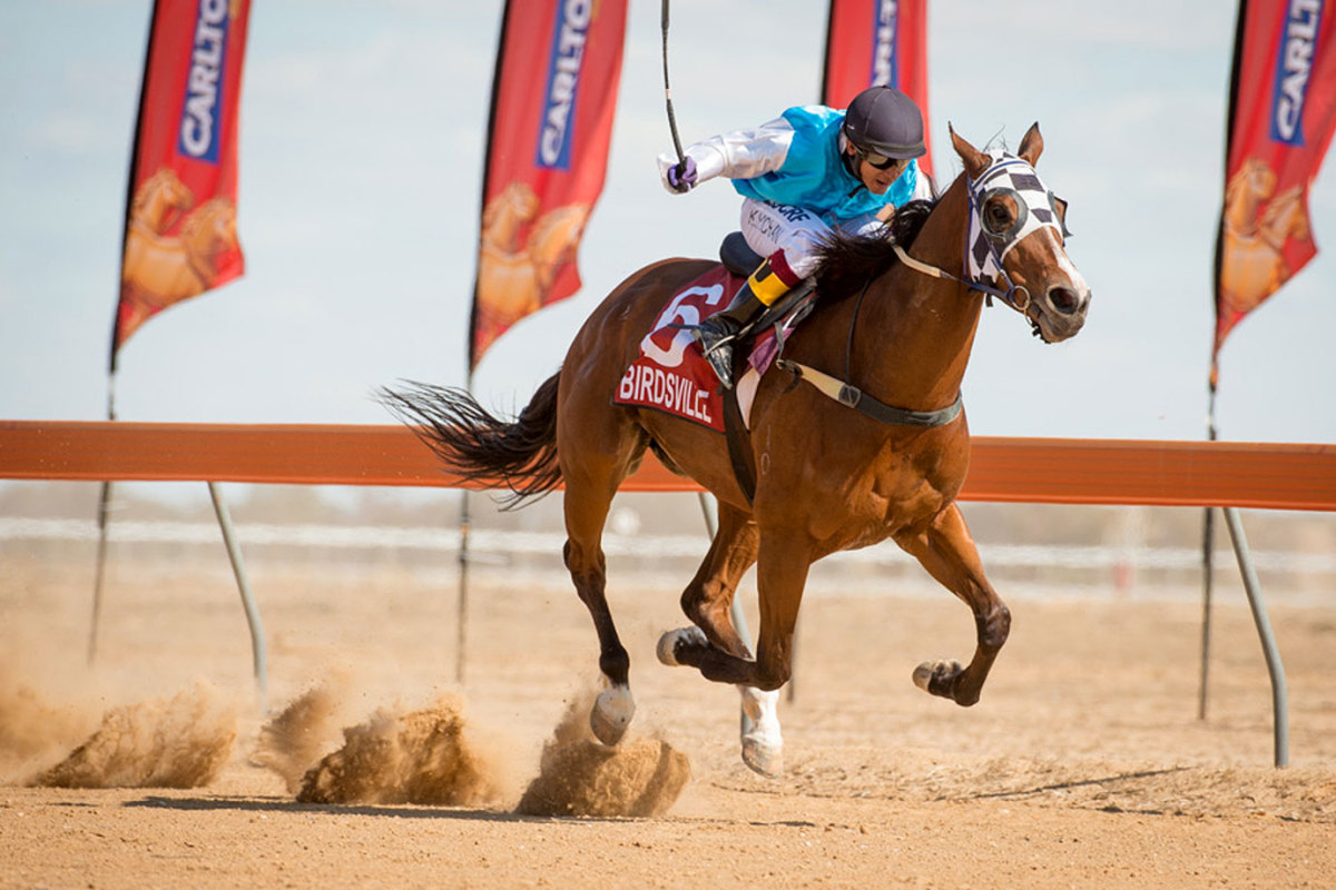 VIEWFINDER: Australia's Birdville Races - Sports Illustrated