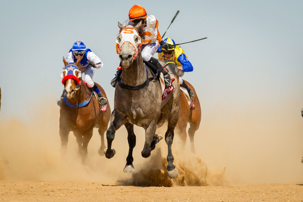 VIEWFINDER: Australia's Birdville Races - Sports Illustrated