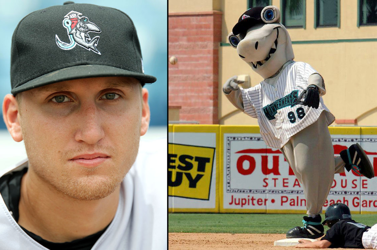 Hot Clicks: A look at Sharks in Sports - Sports Illustrated