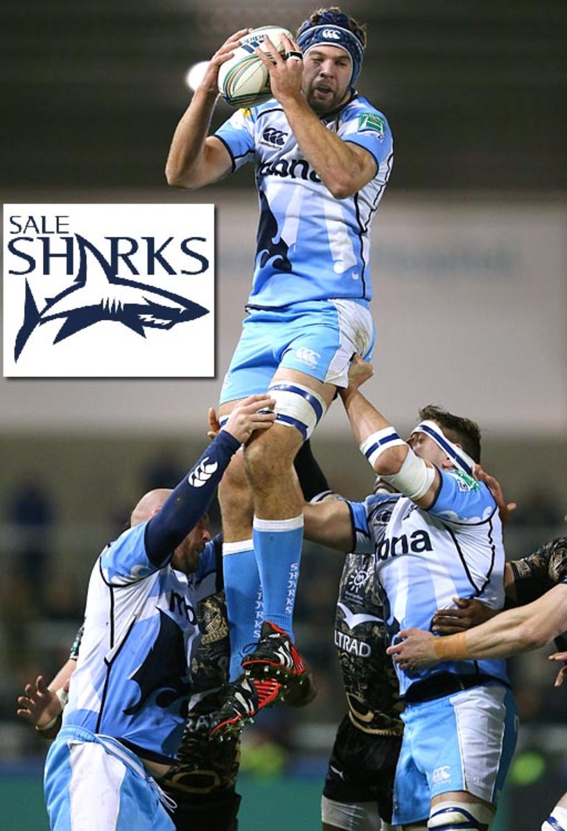 Hot Clicks: A look at Sharks in Sports - Sports Illustrated