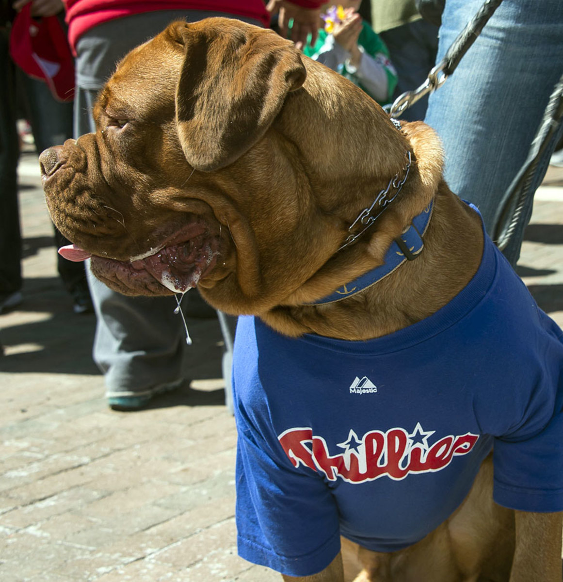 Ballpark Dogs - Sports Illustrated