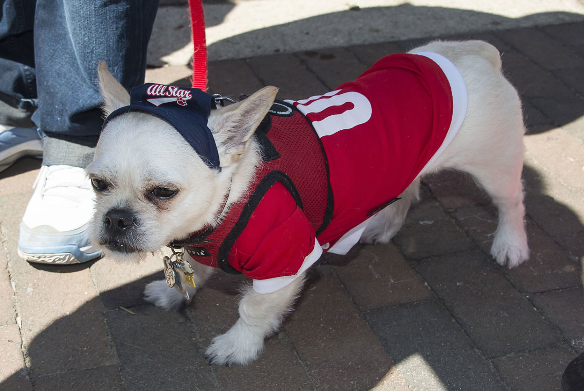 Ballpark Dogs - Sports Illustrated