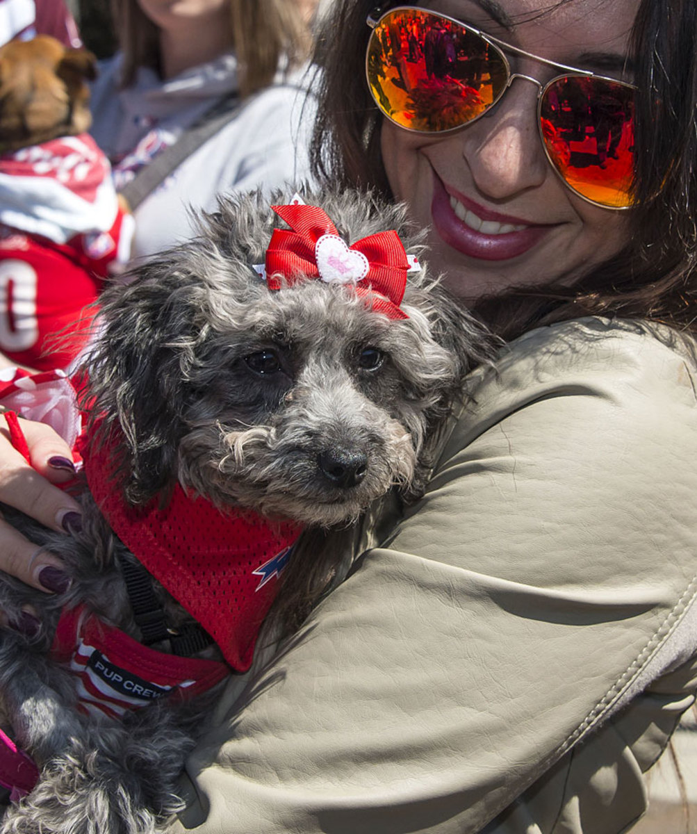 Ballpark Dogs - Sports Illustrated