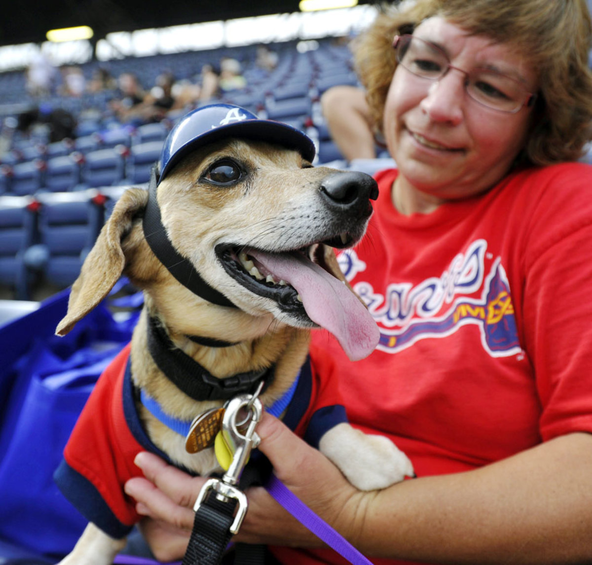 Ballpark Dogs - Sports Illustrated