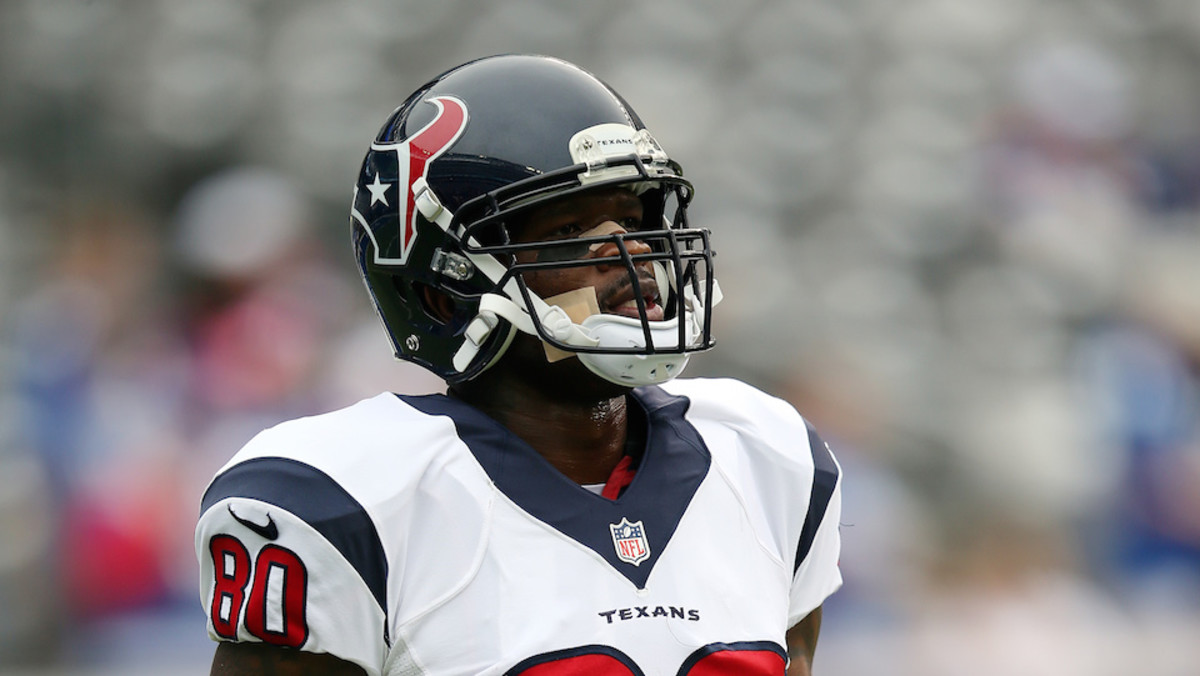 Houston Texans' Andre Johnson, Arian Foster expected to play Sunday ...