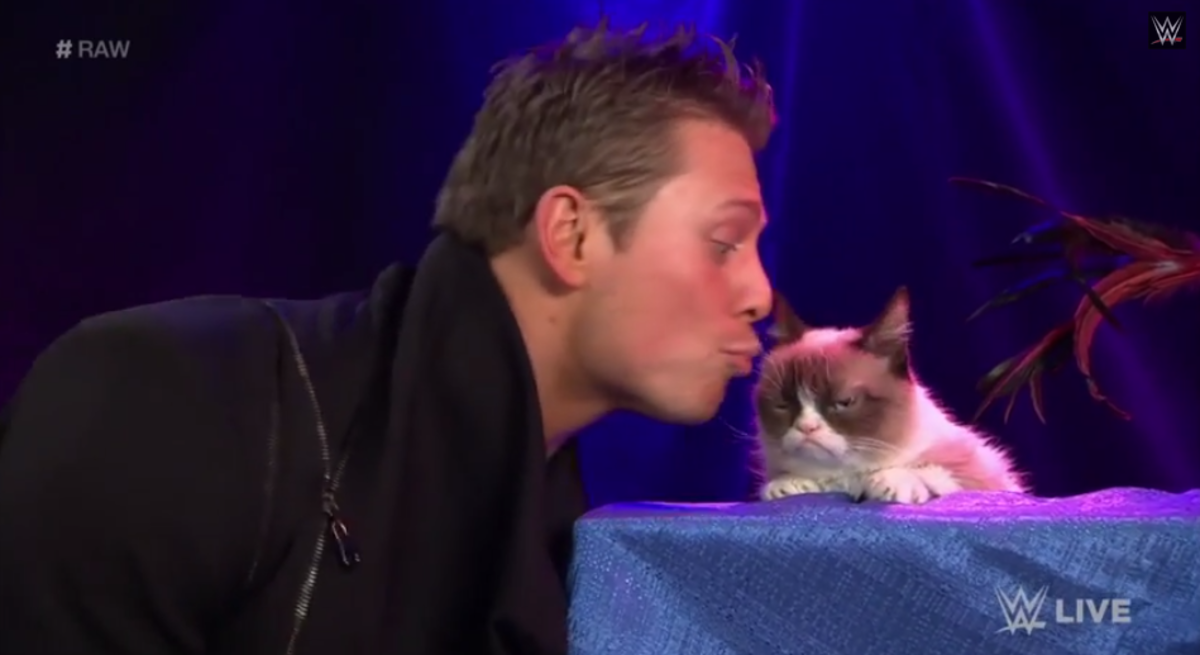 Extra Mustard's Monday Night Raw recap: Grumpy Cat wasn't that big a ...