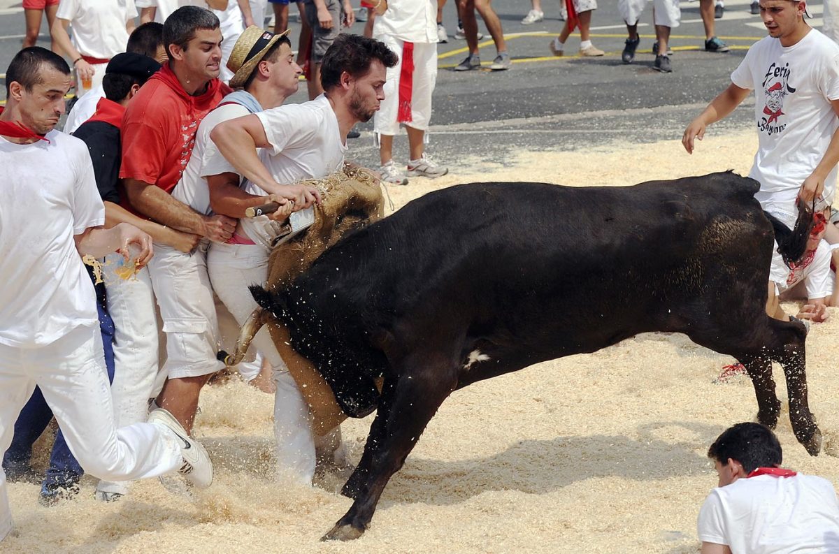 Did You See That? - Sports Illustrated