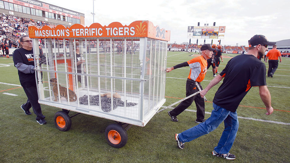 Ohio high school tiger cub mascot reviewed - Sports Illustrated