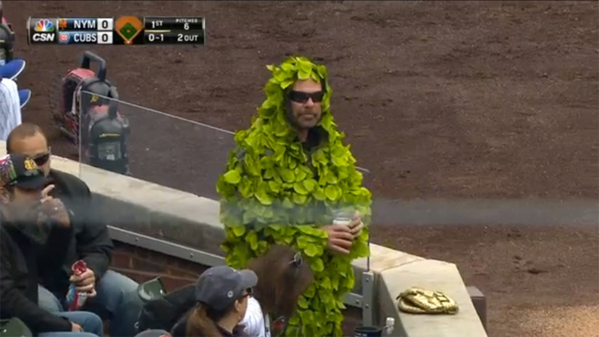 Video: Cubs vs Mets: Man wears ivy at Wrigley Field - Sports Illustrated
