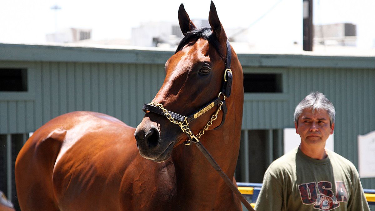 American Pharoah: Could he win SI Sportsman of the Year? - Sports ...