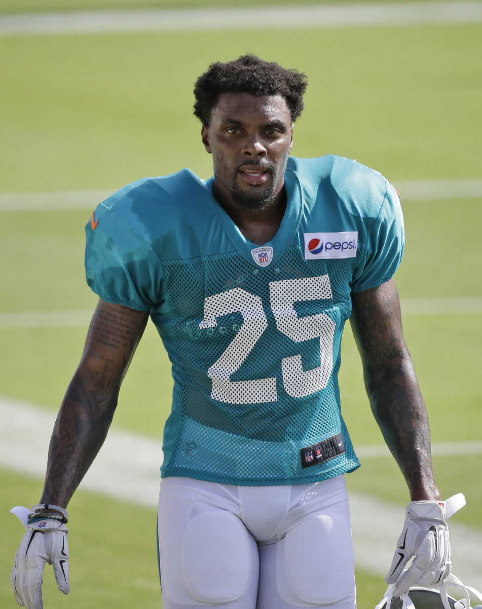Dolphins safety Delmas carted off field with leg injury - Sports ...