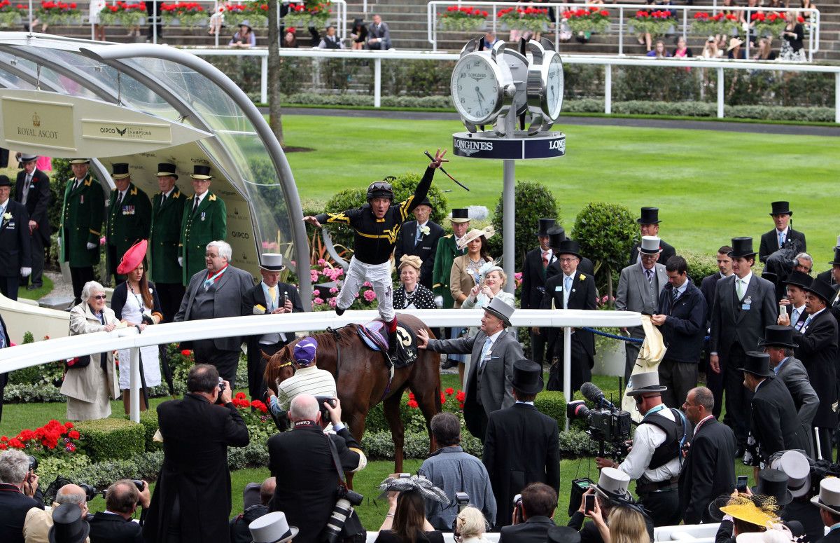 Undrafted gives US trainer Wesley Ward a Royal Ascot winner - Sports ...