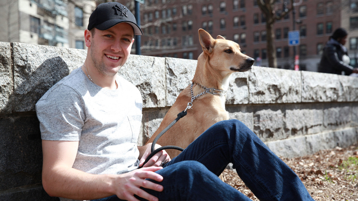 rescued Sochi dogs adapt to new home in US - Sports Illustrated