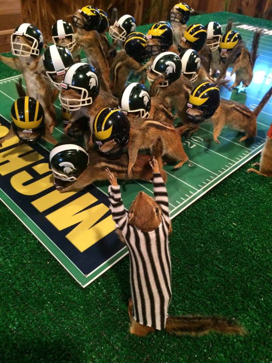 Michigan-Michigan State football game in taxidermy chipmunks - Sports ...