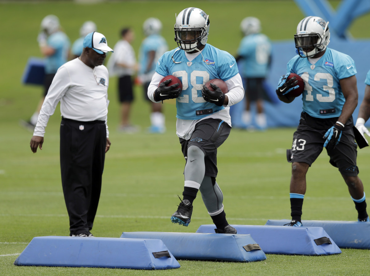 Jonathan Stewart ready to become Carolina's primary back - Sports ...