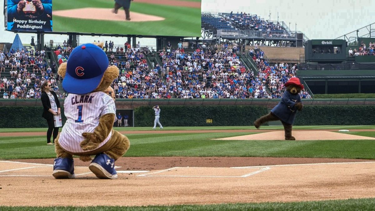 Paddington Bear threw out Cubs' first pitch - Sports Illustrated