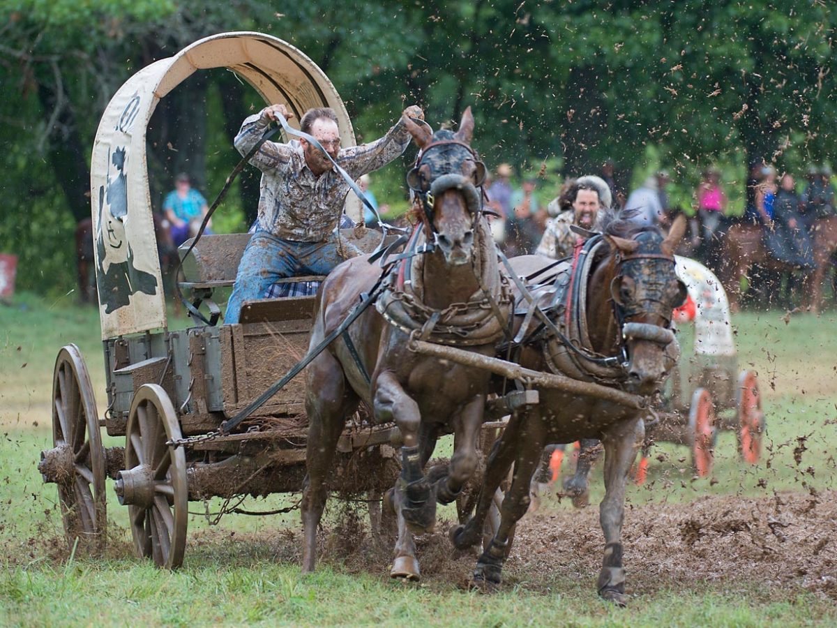 National Chuckwagon Race Championship - Sports Illustrated
