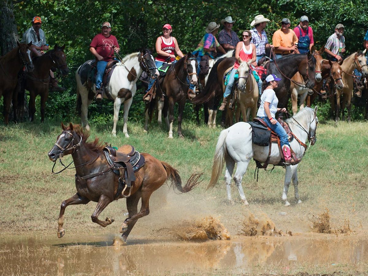 National Chuckwagon Race Championship - Sports Illustrated