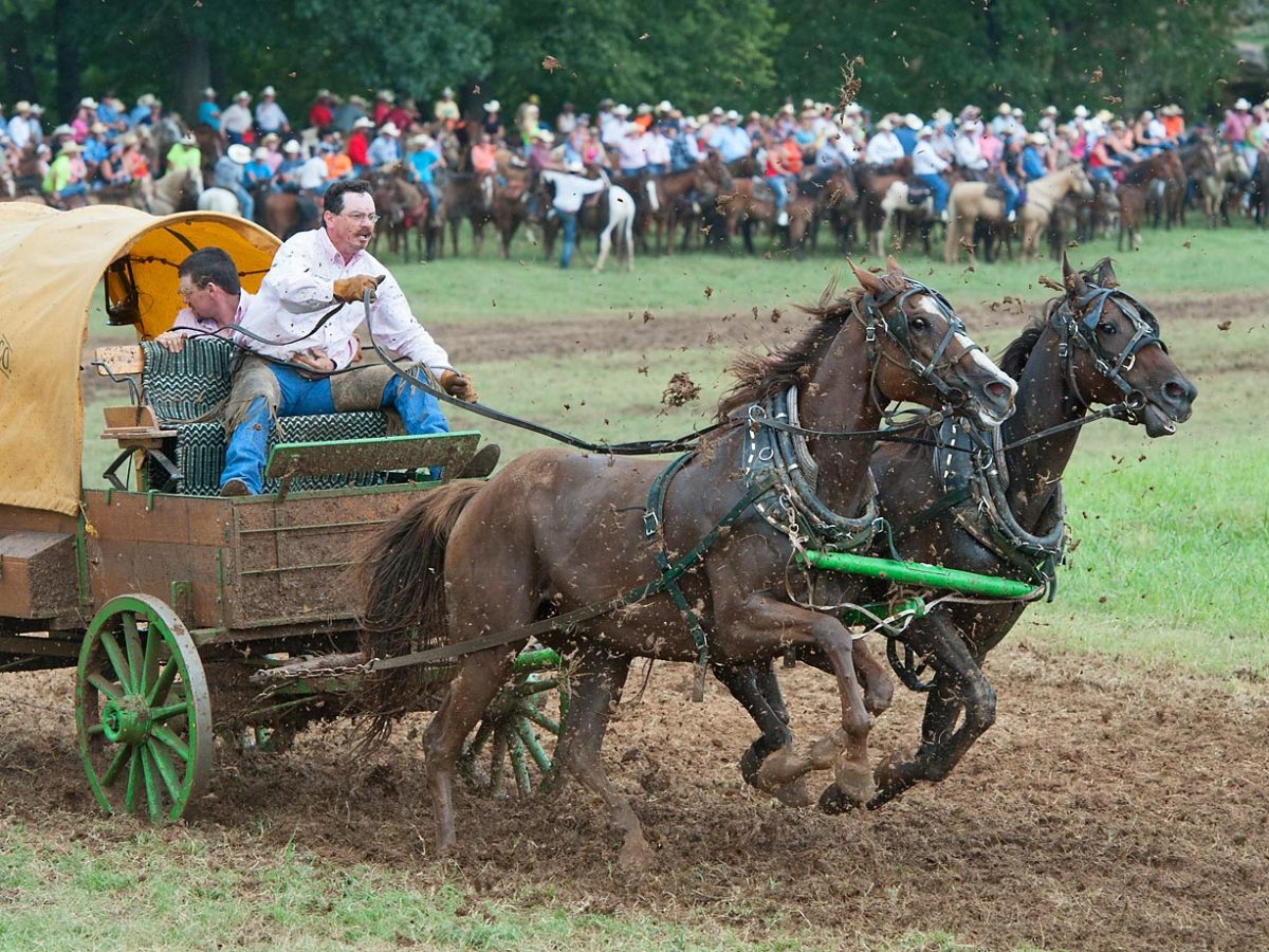 National Chuckwagon Race Championship - Sports Illustrated