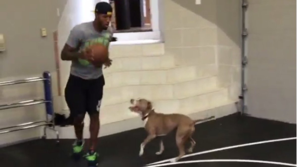 Indiana Pacers' Paul George plays one-on-one with his dog - Sports ...