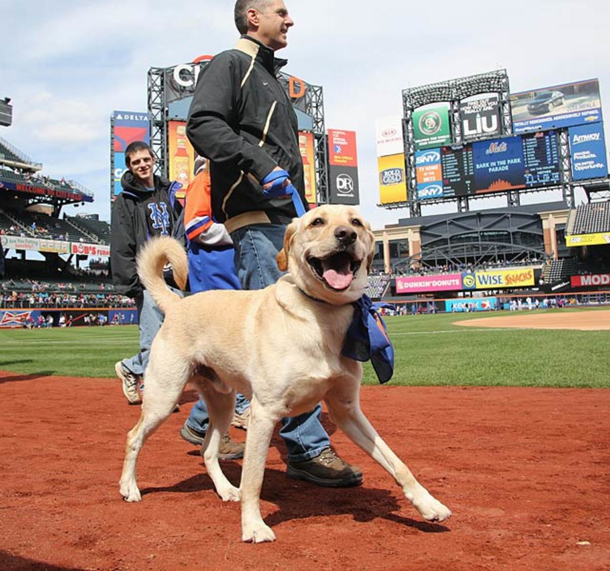 Ballpark Dogs - Sports Illustrated