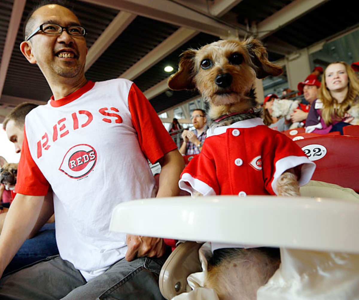 Ballpark Dogs - Sports Illustrated