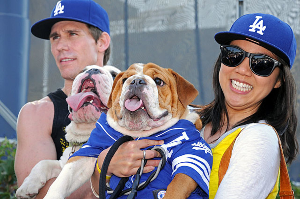 Ballpark Dogs - Sports Illustrated